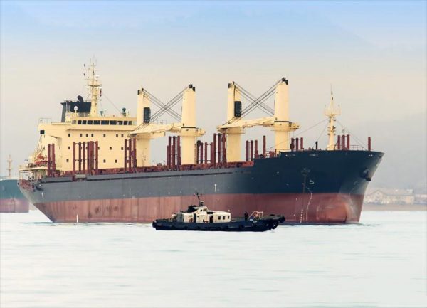Bulk Carrier TAIZHOU MAPLE LEAF 2012 DWT 32318 - Sale and Purchase Ship ...
